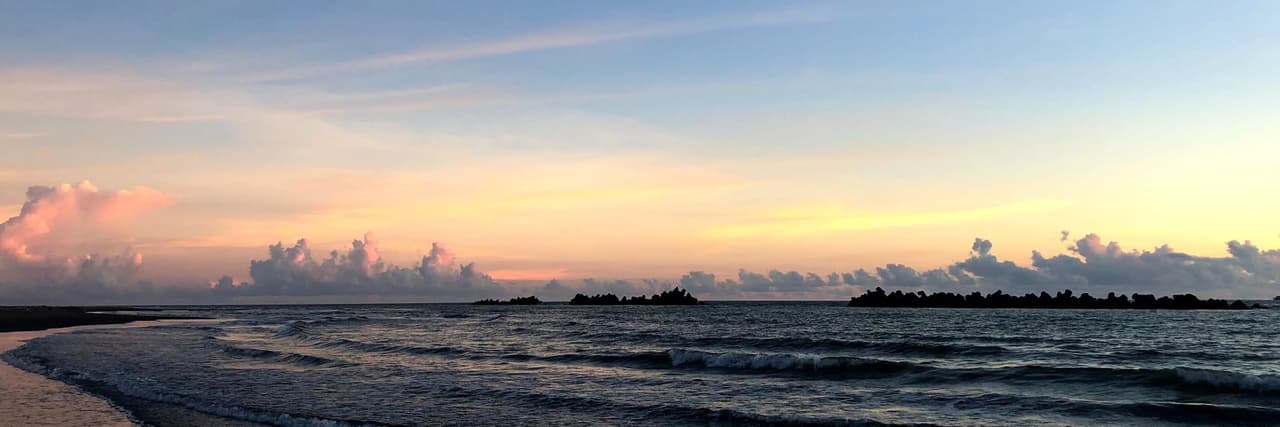 🦁️ ⸝ (@zy_814) 的公開頁面 | Dcard