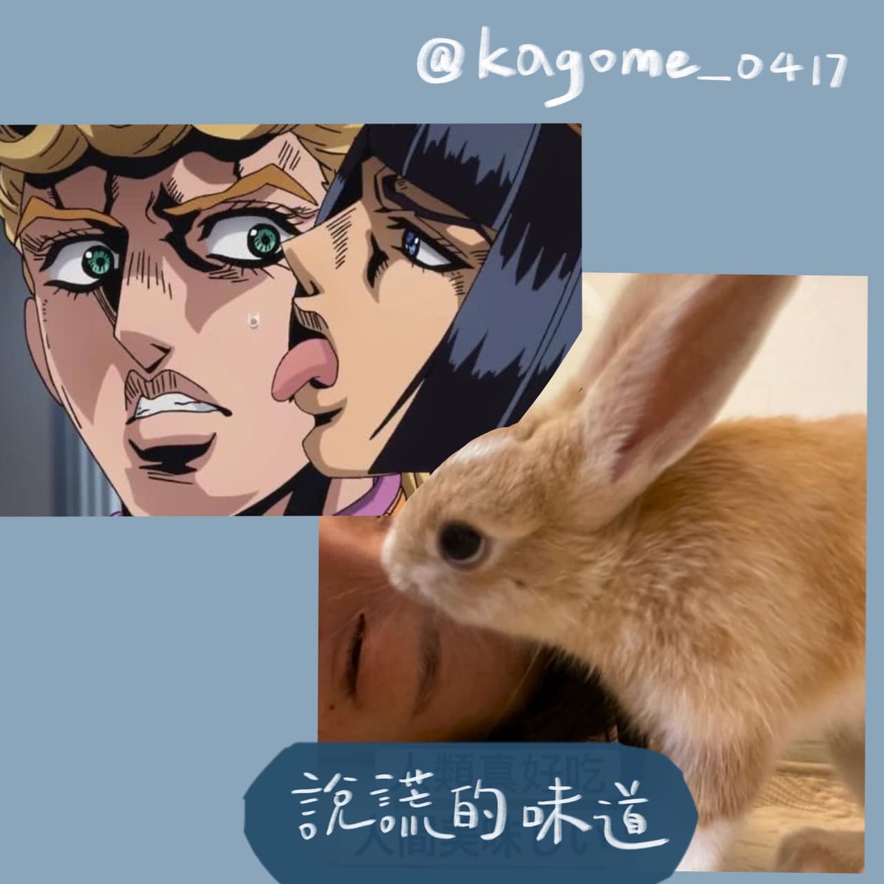 我的兔子會JOJO立 - 有趣板 | Dcard