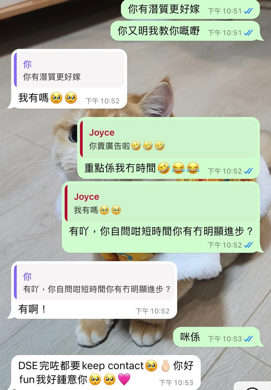 Dse 中文作文 VA私補 - DSE 考生專區板 | Dcard