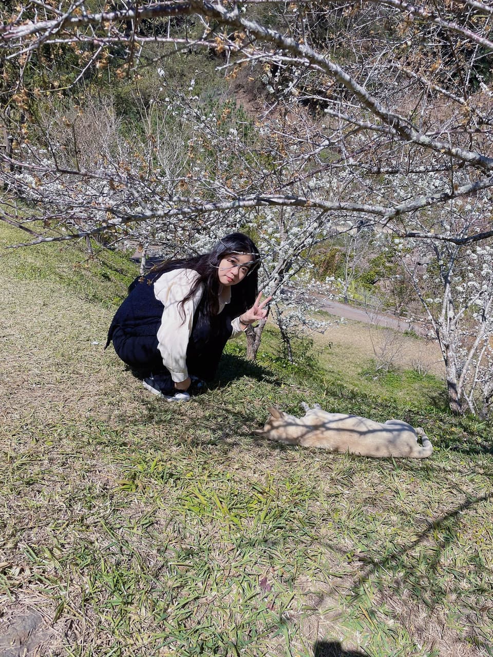 嗨嗨！ - 棉花甜不甜 (@cotton_9) | Dcard