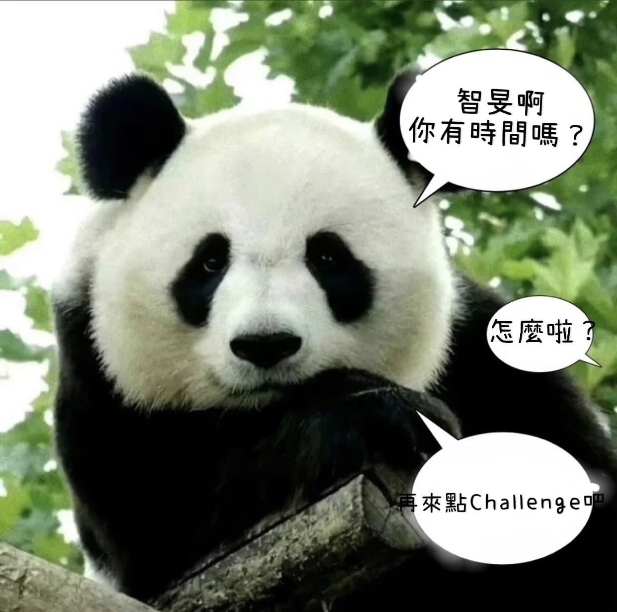 #分享 NewJeans Danielle、Hanni x BTS Jimin ETA Challenge - BTS板 | Dcard