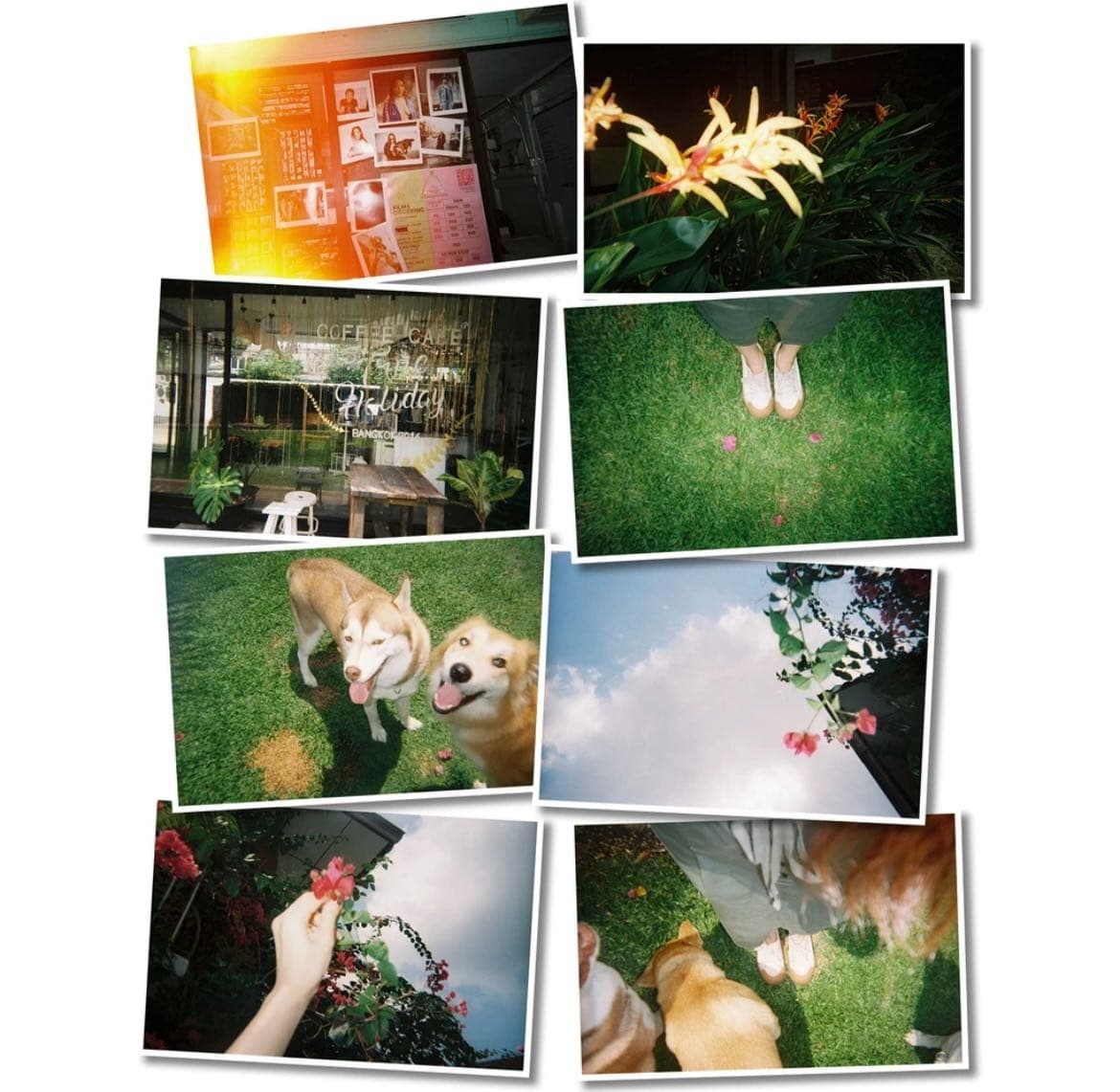 5款即可拍底片相機推薦📷拍出氛圍感 輕鬆拍出復古文青感～ - 三年五班守日人 (@a9509357) | Dcard