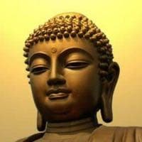 結紮男貴族釋迦 (@awgg99) | Dcard