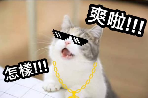 論家4棉花糖女孩耶，你要養我啦 - B16-3 留言 | Dcard