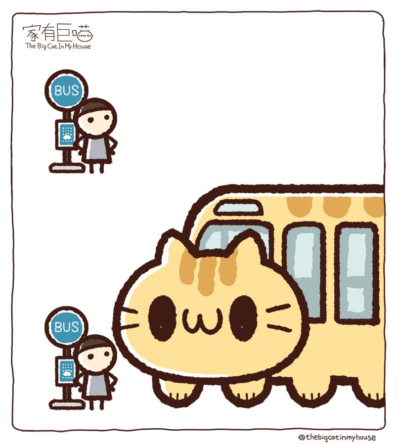 等公車 wait for the bus - 家有巨喵 (@bigcatinmyhouse) | Dcard