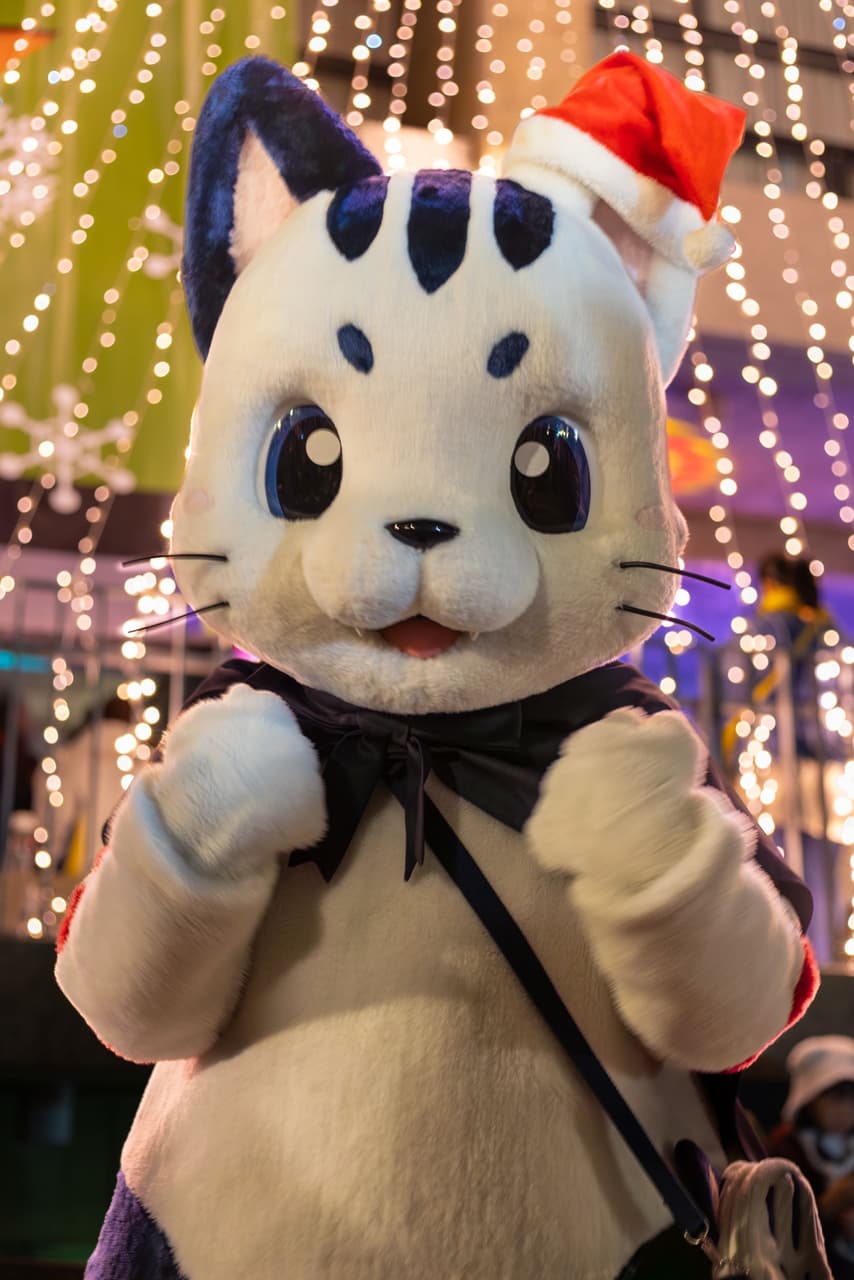 2025 - 貓月 (@nyanrou_neko) | Dcard