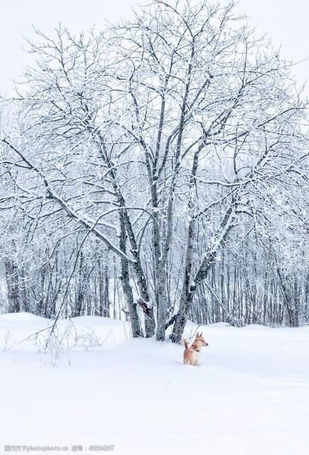 #分享 Tom Ford香水&個人主觀Top5 - 香氛板 | Dcard