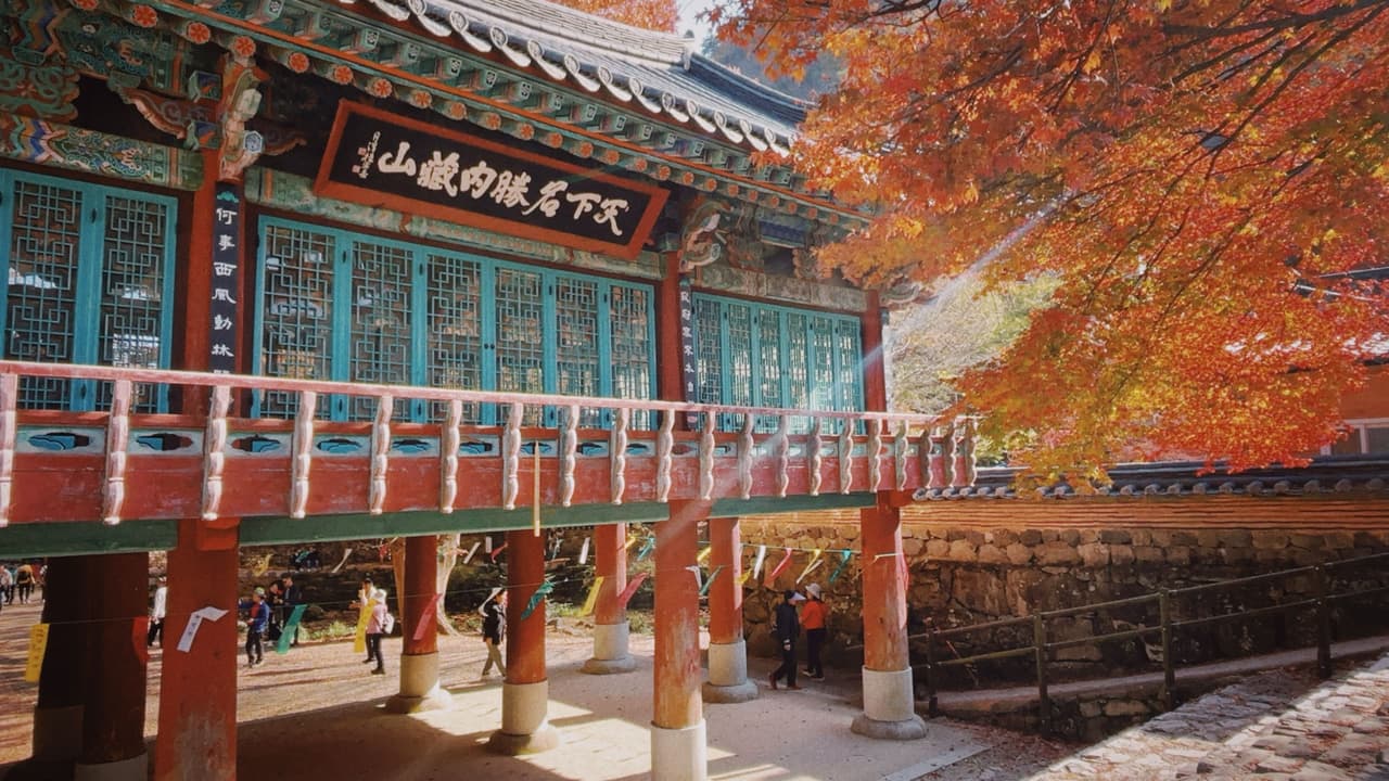 #分享 韓國賞楓之旅 D5 - 韓國旅遊板 | Dcard