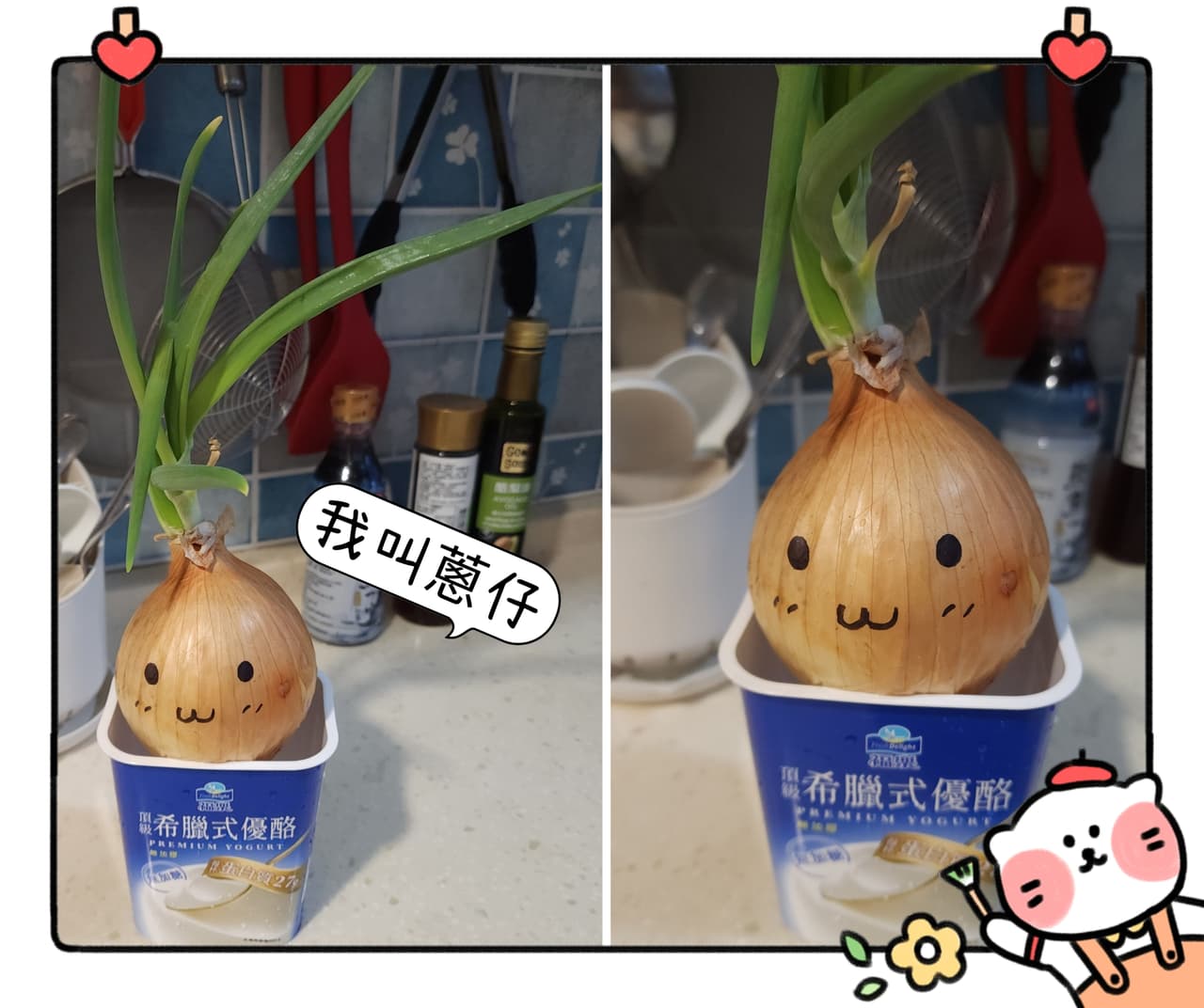 紫菜湯 - 菇寶 (@zero__n) | Dcard