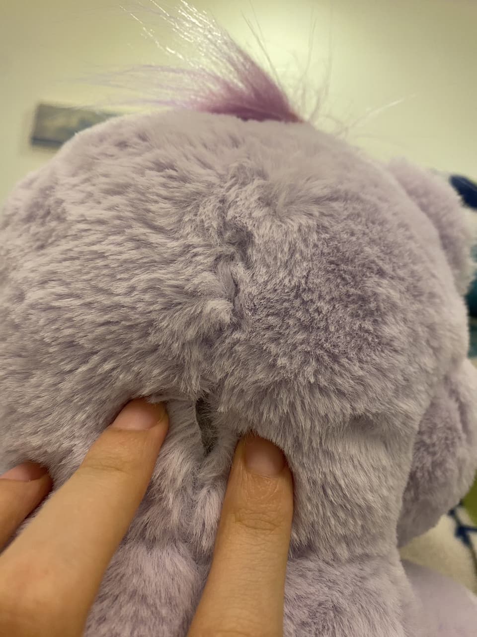 蝦皮買Care Bear小心假貨 - 網路購物板 | Dcard