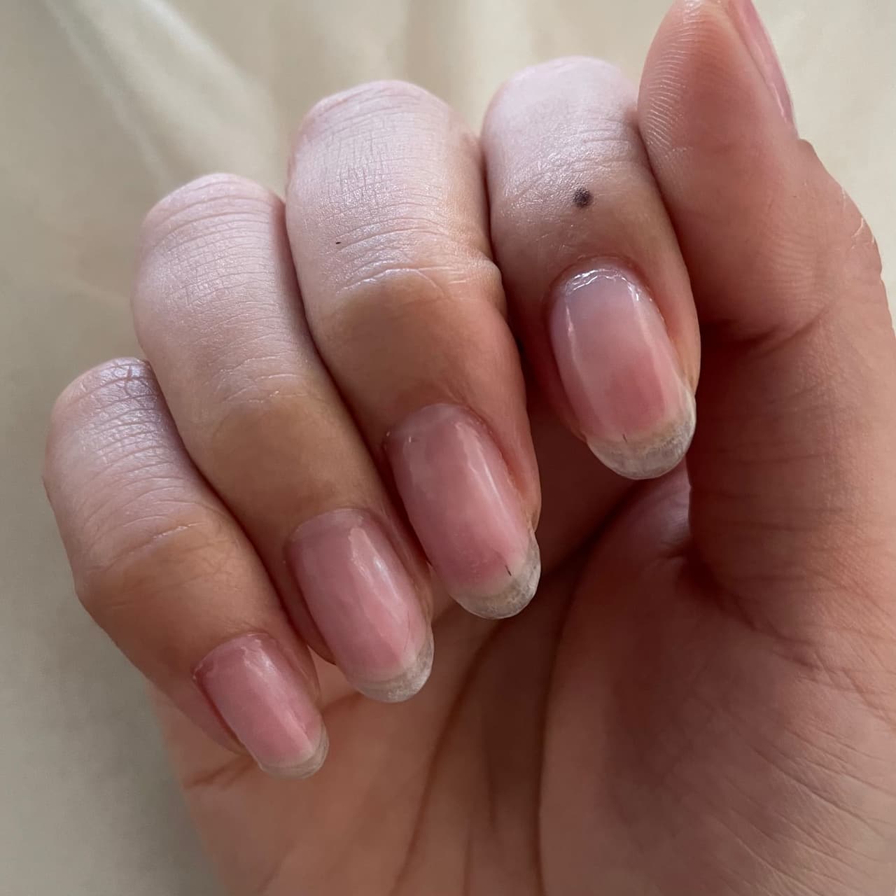 問題 指甲變好軟 美甲板 Dcard
