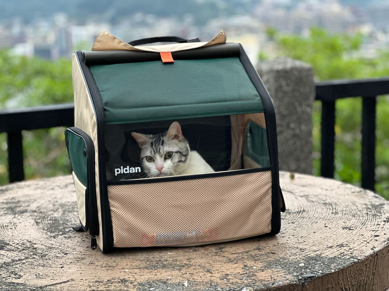 Pidan 寵物推展背包微開箱 - 寵物板 | Dcard