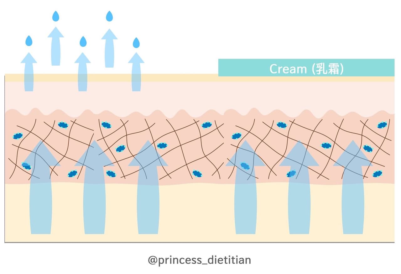 你一定要認識的肌膚保濕小海棉—玻尿酸🧽 (抽獎結果公布) - 公主營養師👑 (@princess_rd) | Dcard