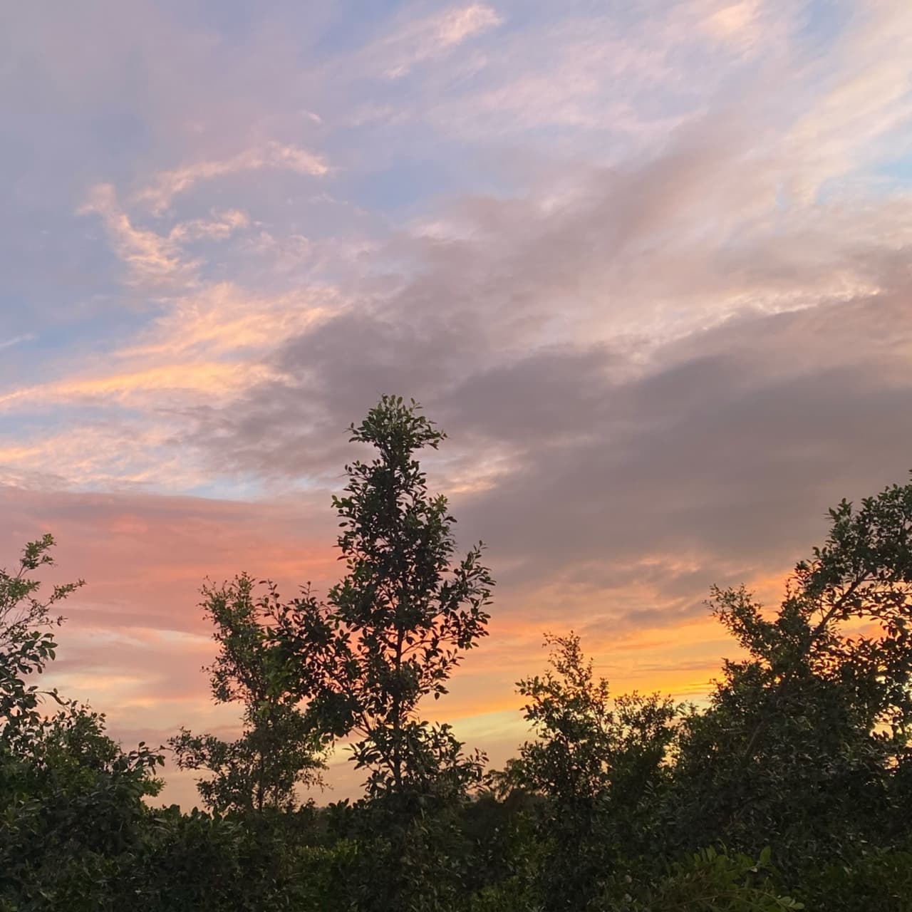 分享天空( •ᴗ• ) - 朵朵 (@doris_dd) | Dcard