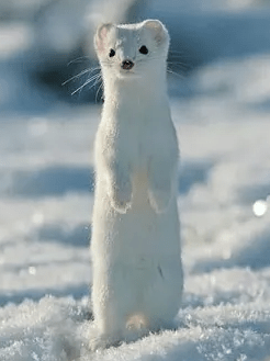 Gaeul的最新討論 | Dcard