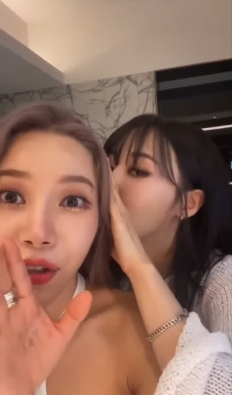 一點也不簡短的首篇個版自介/近況分享 - mangocorgi (@mangoscy97) | Dcard