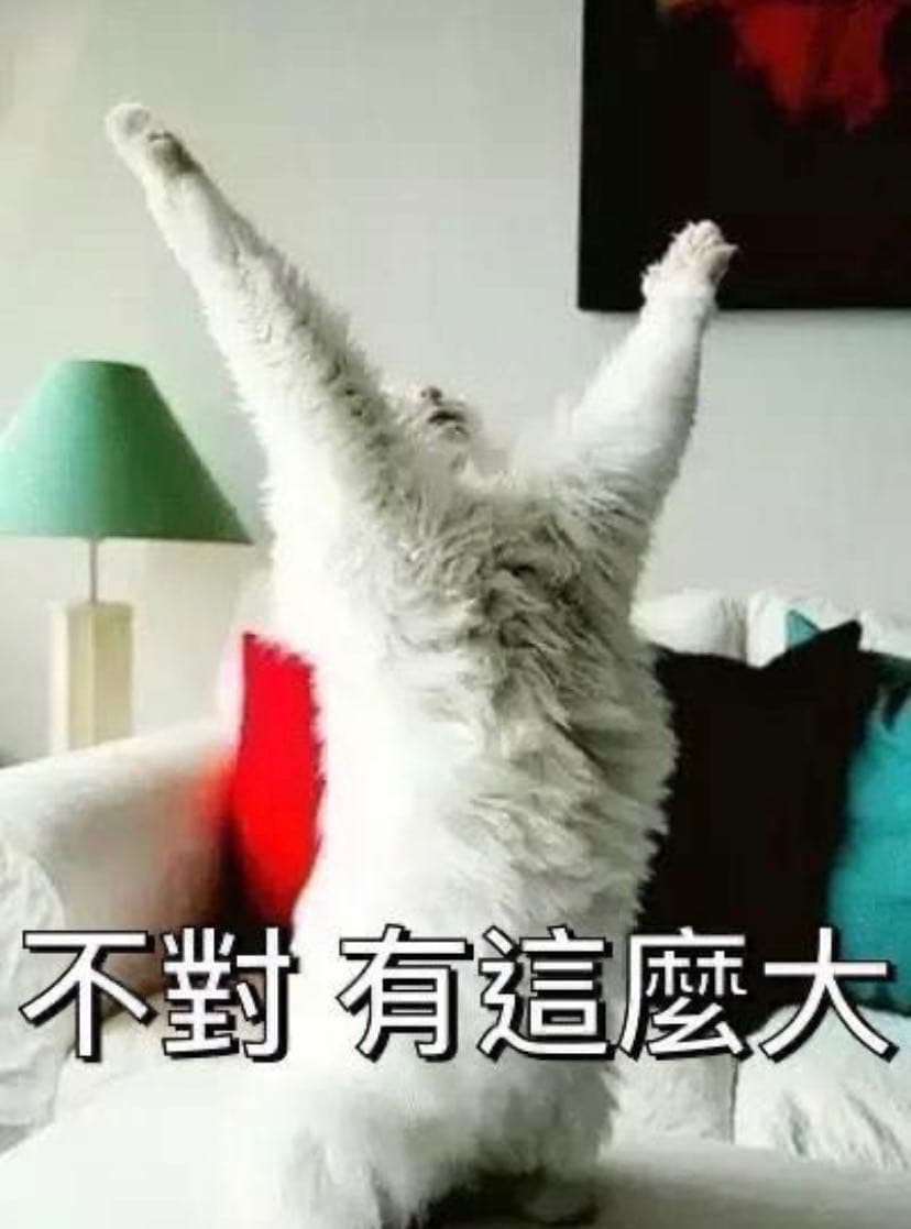 求 那個奶子有那麼大 梗圖系列 閒聊板 Dcard