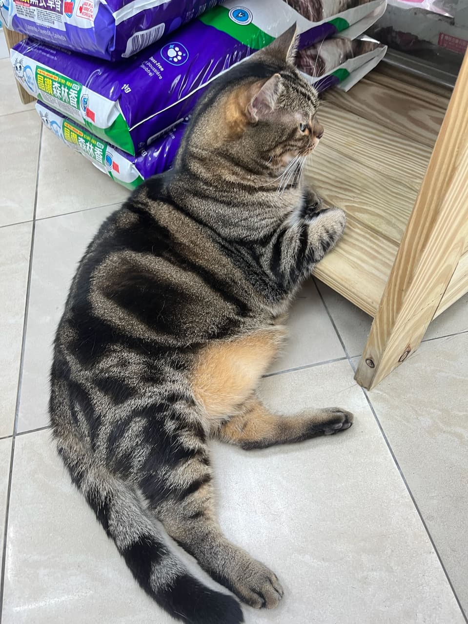 跪求xo鑰匙 - 彩虹板 | Dcard