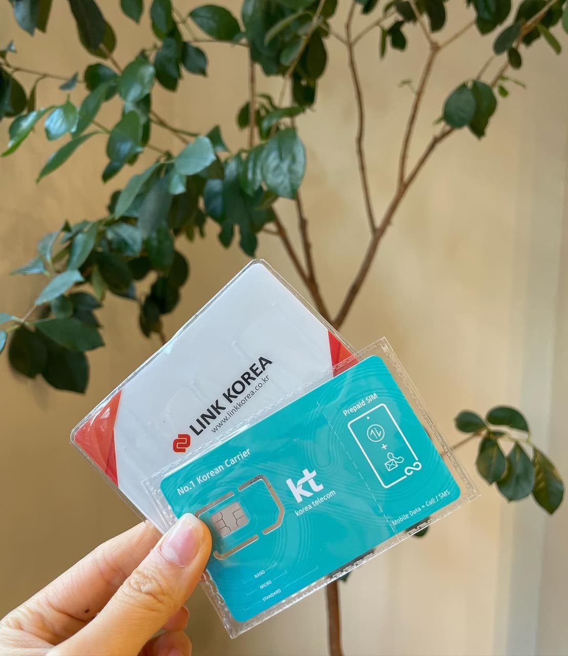 韓國電話卡推薦！（旅遊留學都適用 - 𝑌𝑢𝑛𝑎_유나 (@hi_una_) | Dcard