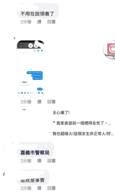 #神扯 用力把倉鼠擠到眼睛脫窗…（有影片與更新!） - B181 留言 | Dcard