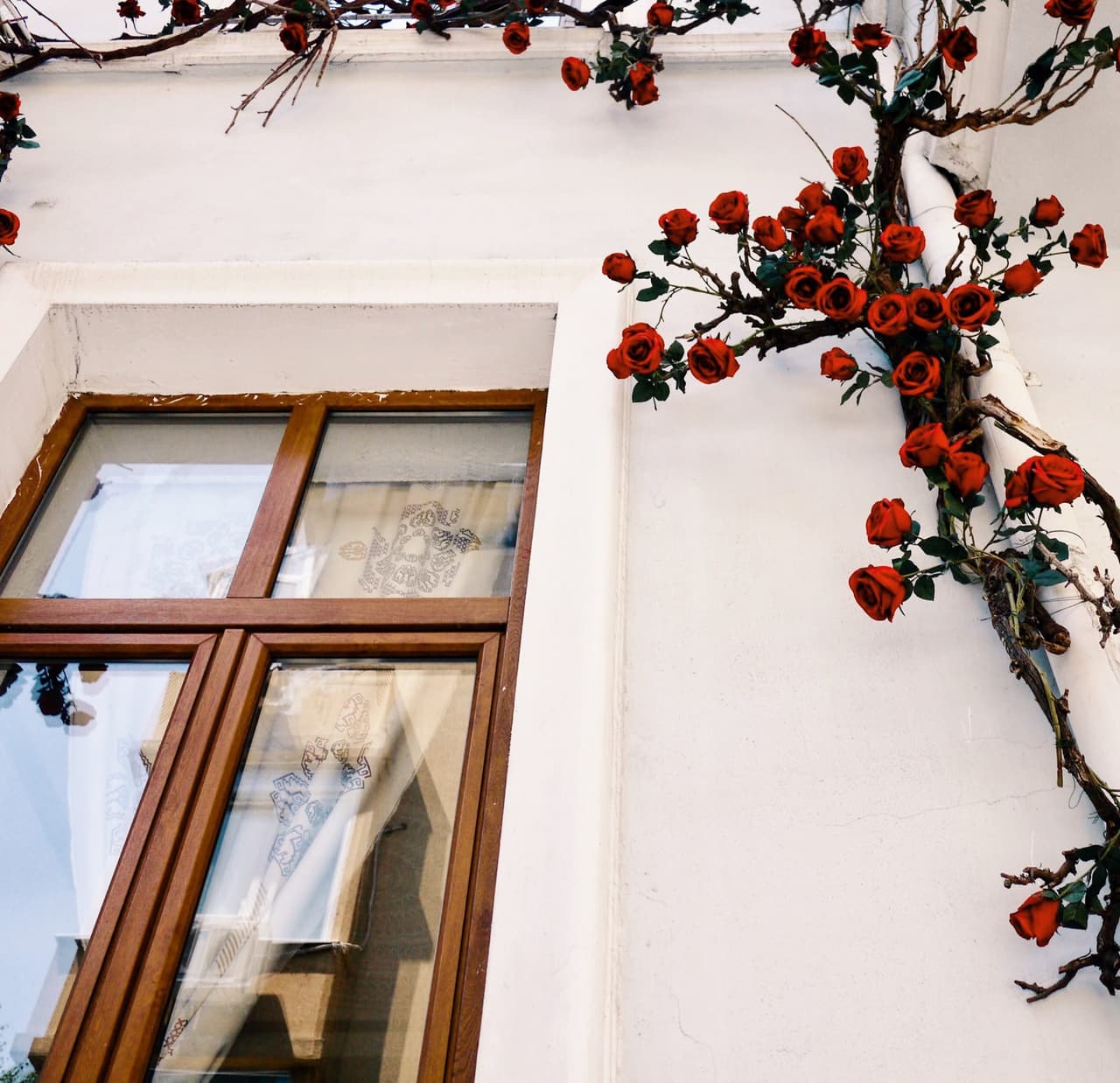 保加利亞流浪記｜女子的生日獨旅 - B26 留言 | Dcard