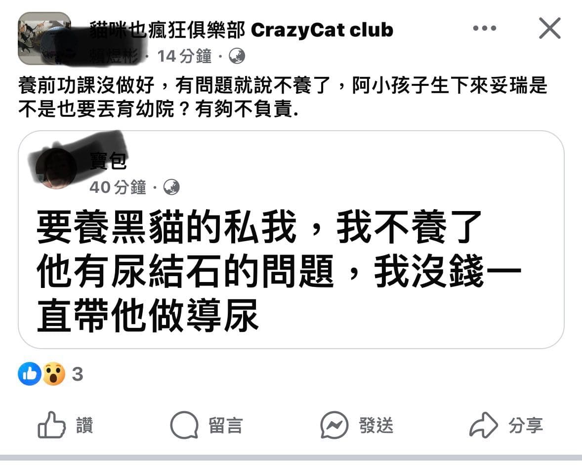 IG網美 沒錢養病貓 社團送養 - B16 留言 | Dcard
