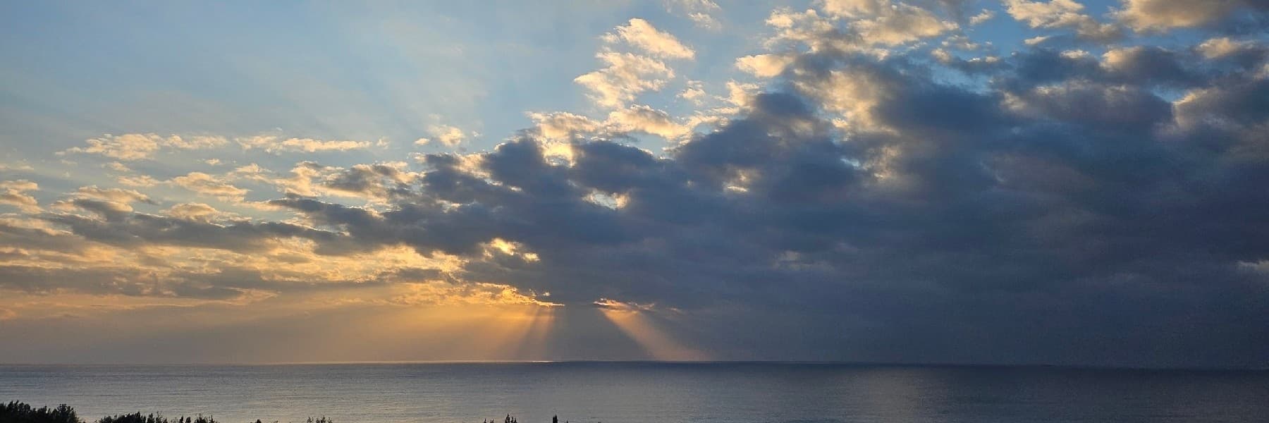 很高的Y小姐 (@yu_0102) | Dcard