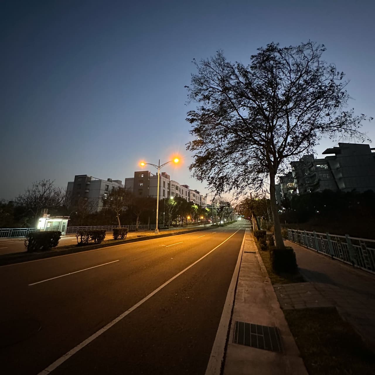 #教學 手機就能完成照片調色？Lightroom入門篇 - 攝影板 | Dcard