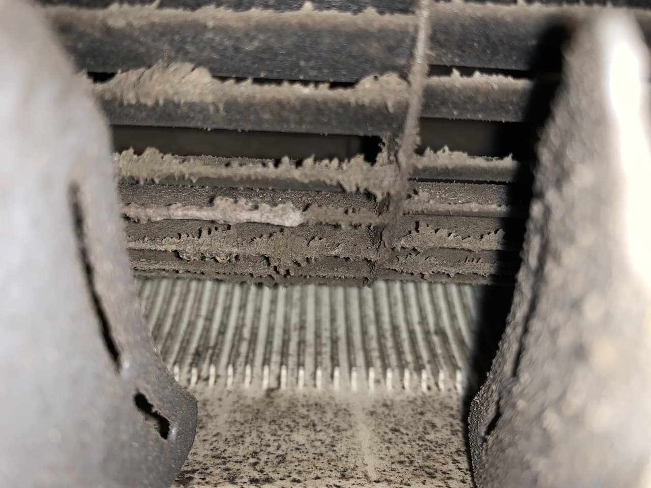 台灣掰~ - 地獄倒楣鬼 (@back.from.hell) | Dcard