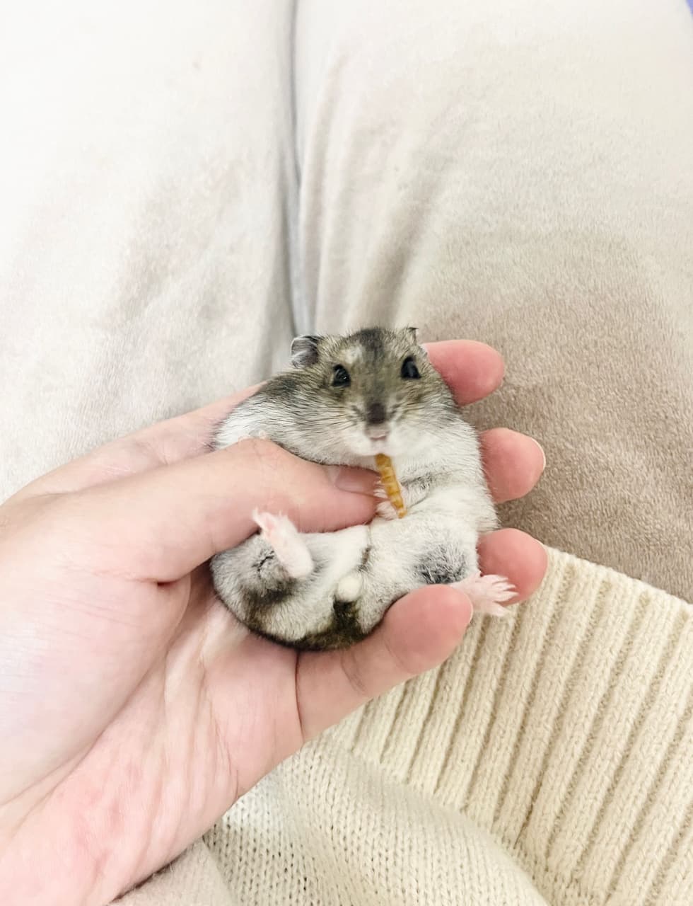 照片日記🥐 - 蜂蜜檸檬水 (@nn_18) | Dcard