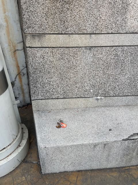 誰的蝦子 掉了! 臺灣體育運動大學板 Dcard
