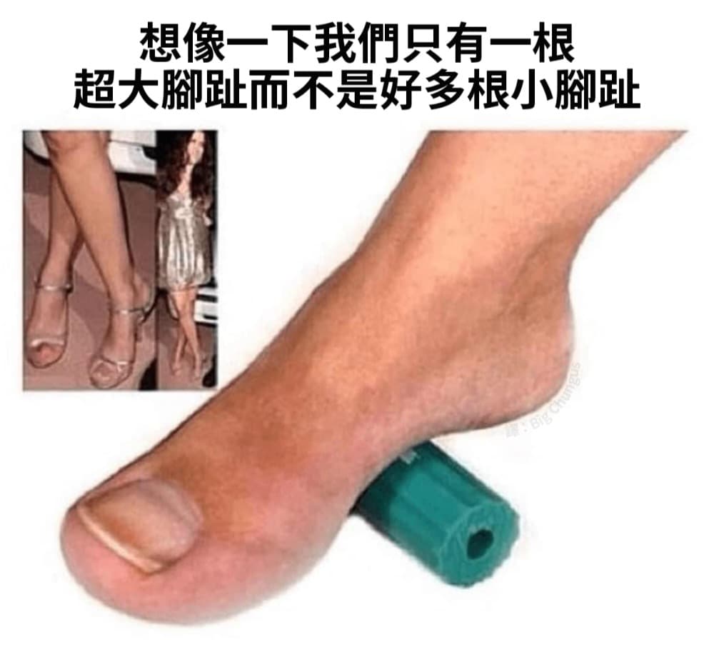 #翻譯 美麗大腳趾 - 梗圖板 | Dcard