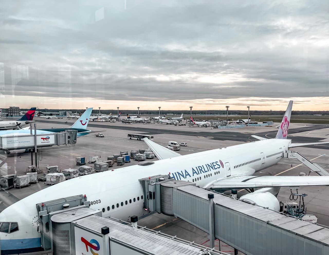 東京11月7天自由行 D4-D6 銀杏/惠比壽聖誕燈 - 日本旅遊板 | Dcard