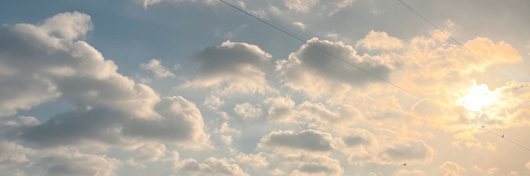 餅乾牛奶🍪🥛 (@mark.jun) 的公開頁面 | Dcard