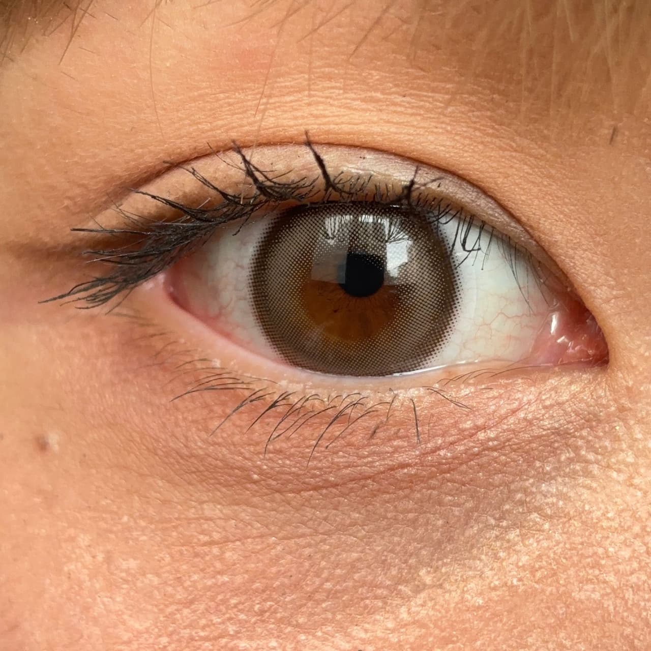 h先生 (@hsunleee) | Dcard