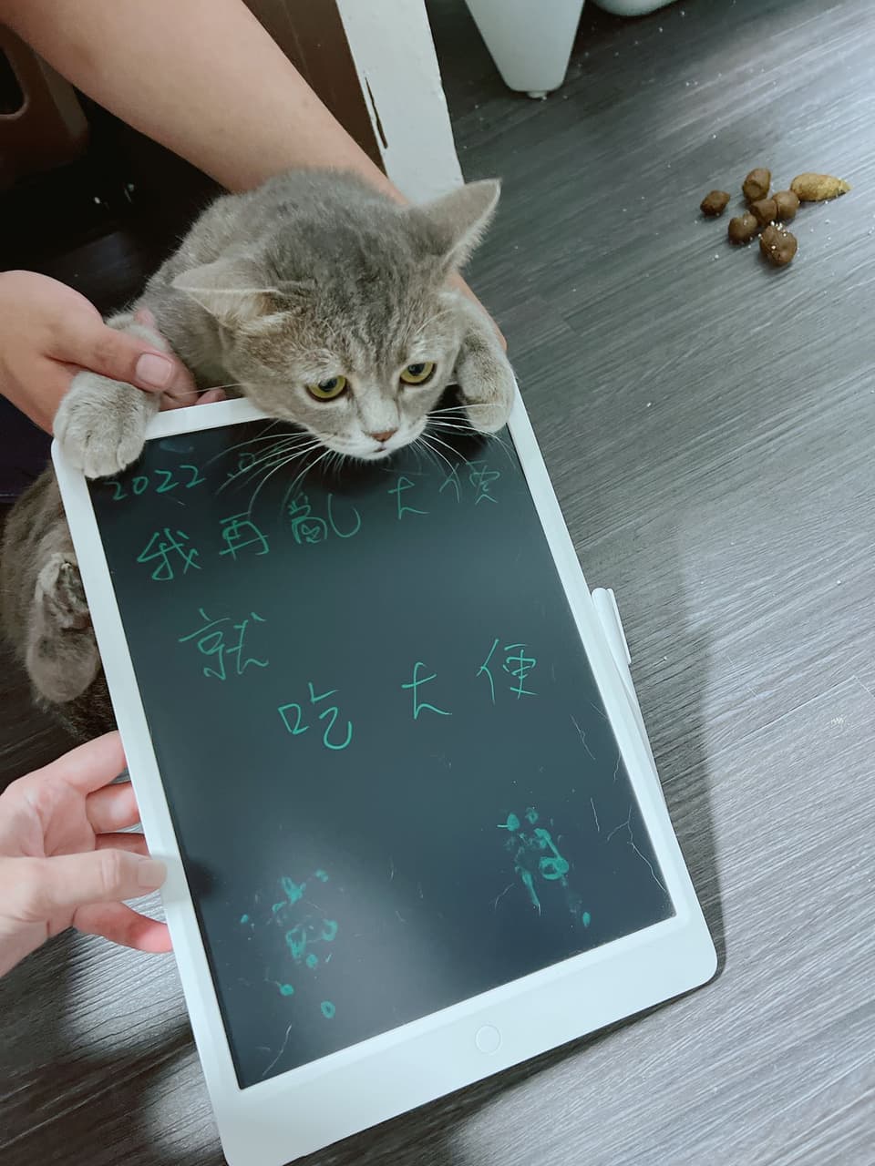 亂大便就要畫押 - 搗灰的娘親 (@mm951113) | Dcard