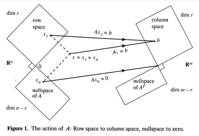 某些線性代數課程的問題：讀 G.Strang 根本不夠 - 數學板 | Dcard