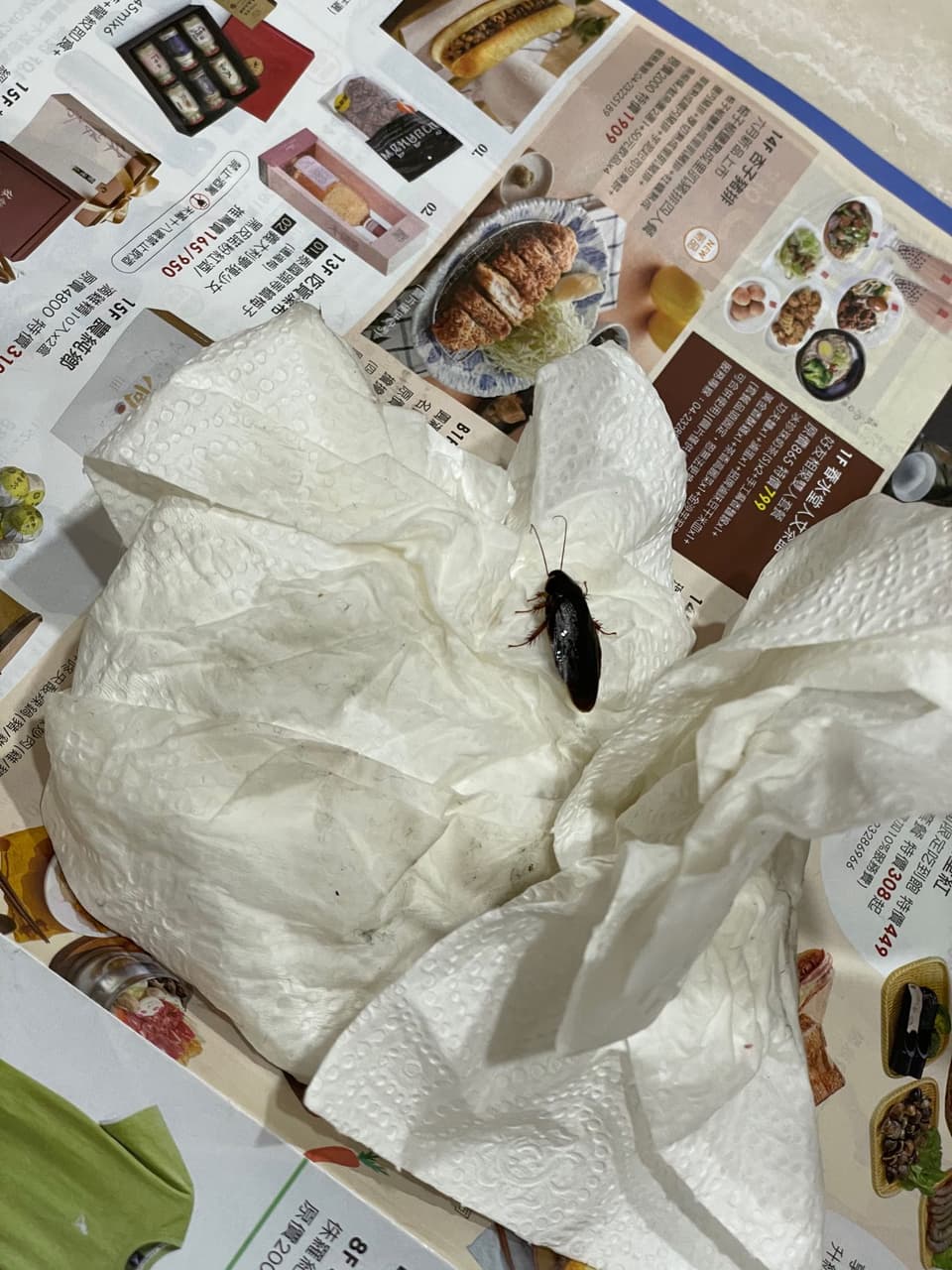 鑑定 鑑定 請問這是什麼蟲?差點嚇鼠🥲 昆蟲板 Dcard