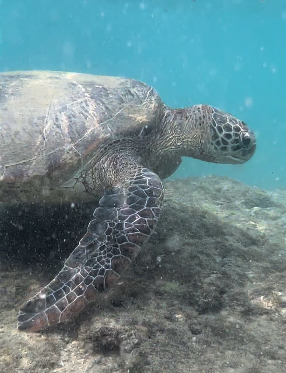 今年暑假去了好多海邊，各式海景大分享!!來吧(｡•̀ᴗ-) - 小肥魚魚 (@smallfatfish) | Dcard