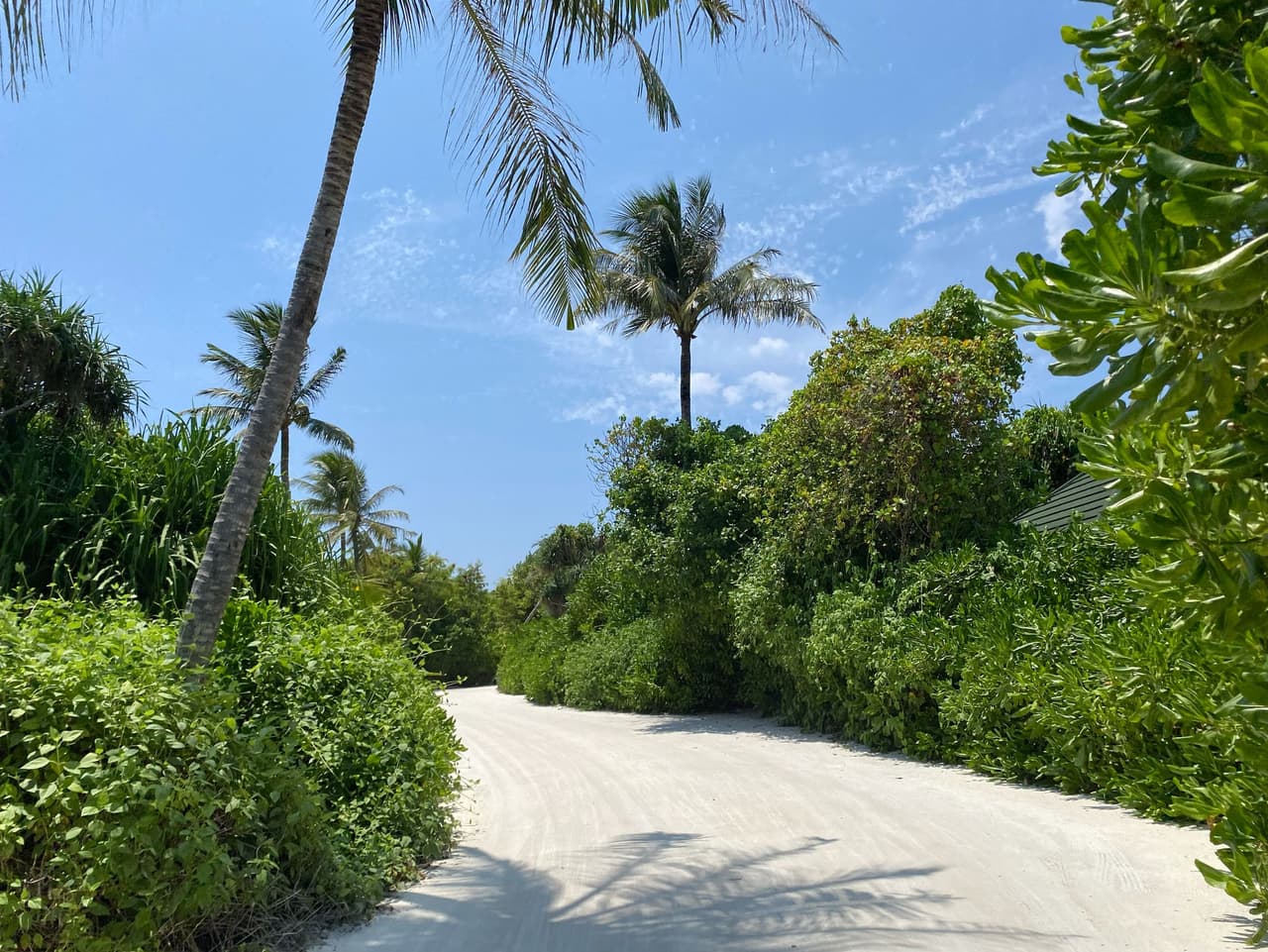 #國外遊記 馬爾地夫蜜月-Day8&9流水帳日記 - 旅遊板 | Dcard