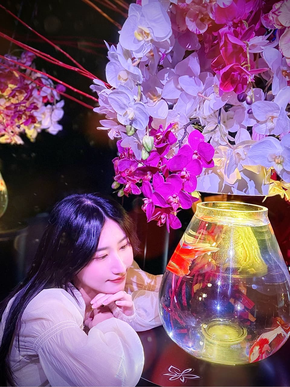 來自東京的金魚藝術展在台北快閃！ - 想睡覺的鼠 (@ayanezu) | Dcard