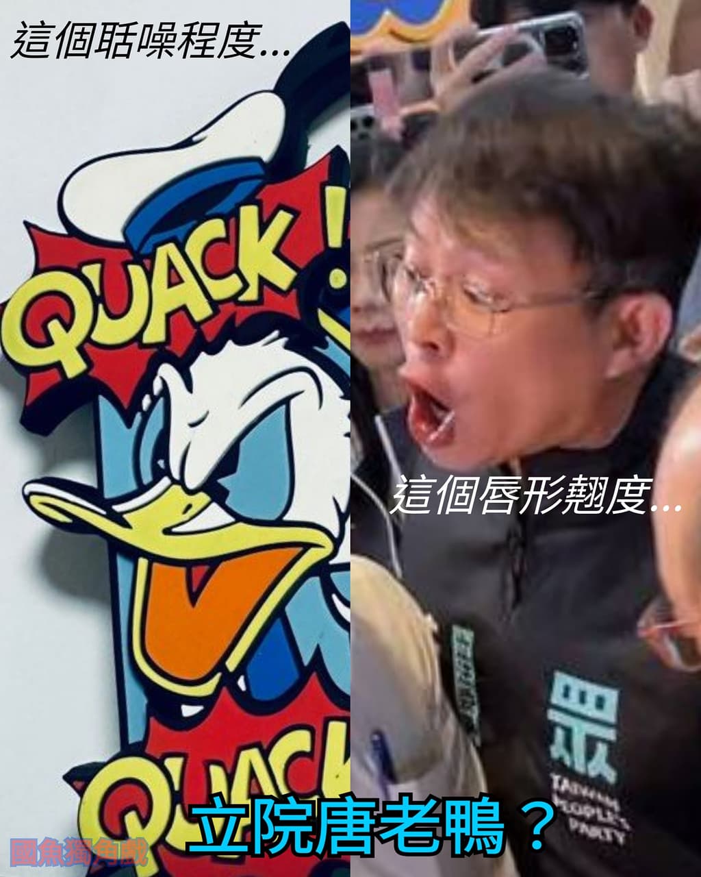 【立法院 / 藍白黑箱】藍白黃國昌：🦆🦆🦆 - 我是臺灣人 Taiwan (@taiwan1069) | Dcard