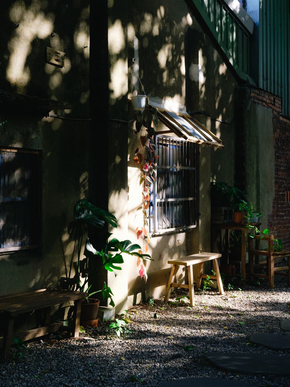 #作品 X-T20五年回顧 - 攝影板 | Dcard