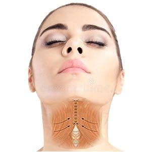 #分享 天鵝頸手術 - B330 留言 | Dcard