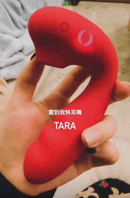 #女生玩具 這絕對是極致慵懶的高級享受 #Tara日本雙頭龍 - 西斯玩具板 | Dcard