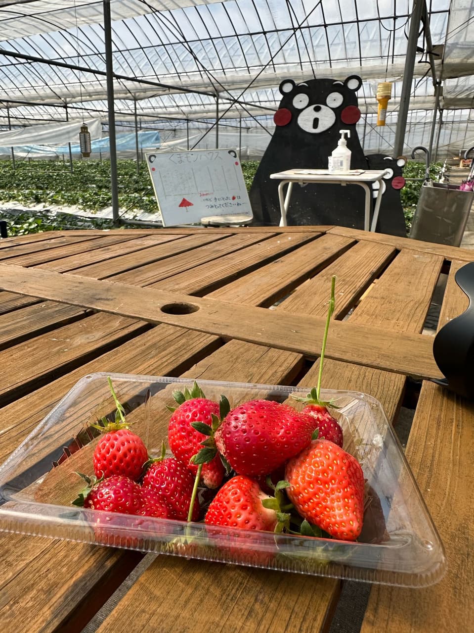 熊本阿蘇由布院 六天自駕分享～ D3 - 日本旅遊板 | Dcard