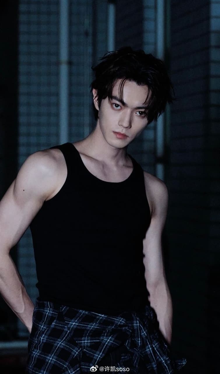 《延禧》男星許凱爆「和女星開房被拍」分手！她曬對話截圖：怕承受不住 - SETN三立新聞網 (@setn54) | Dcard