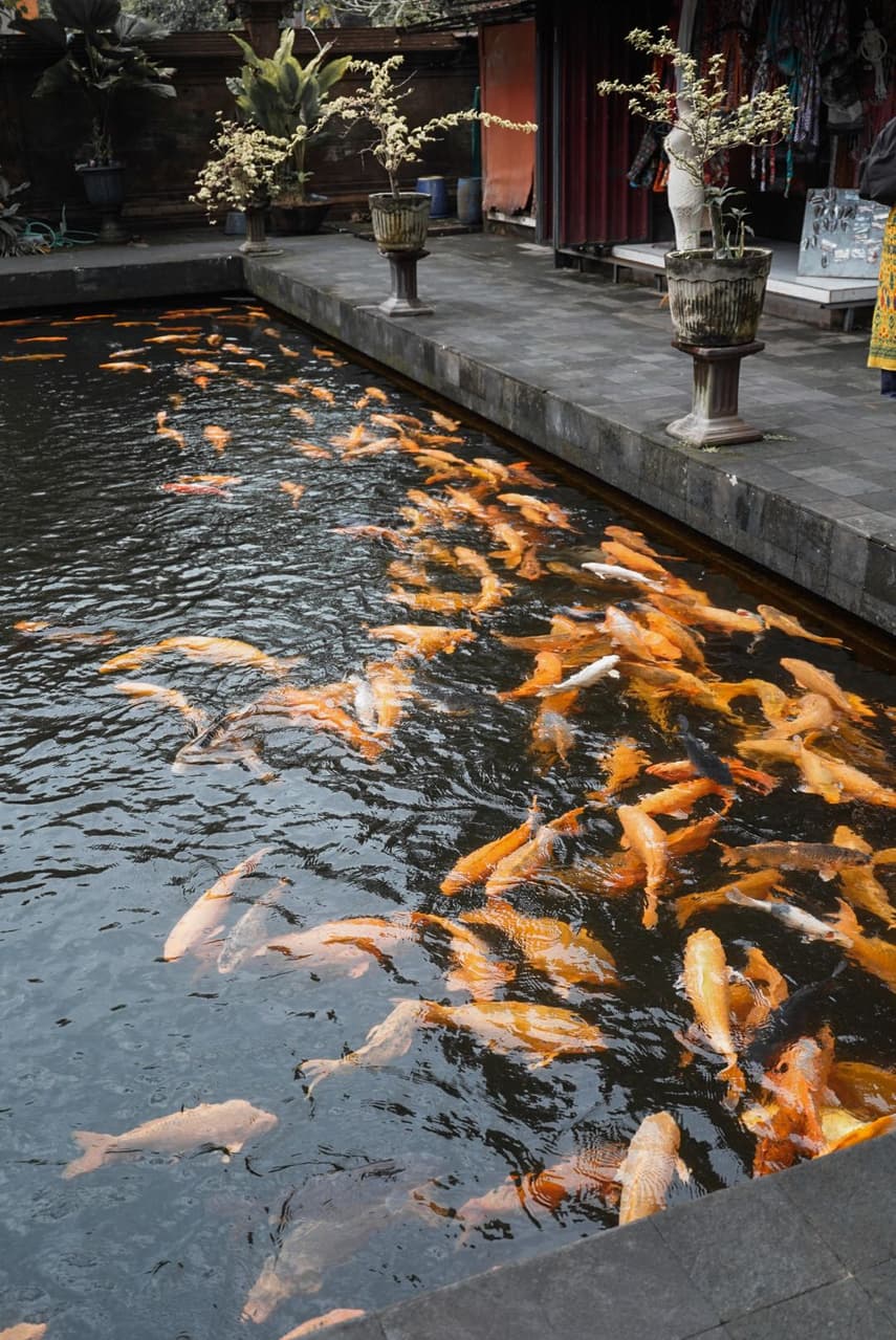 #國外 2023🌴峇里島🌴 5天4夜 行程分享 （上） - 旅遊板 | Dcard