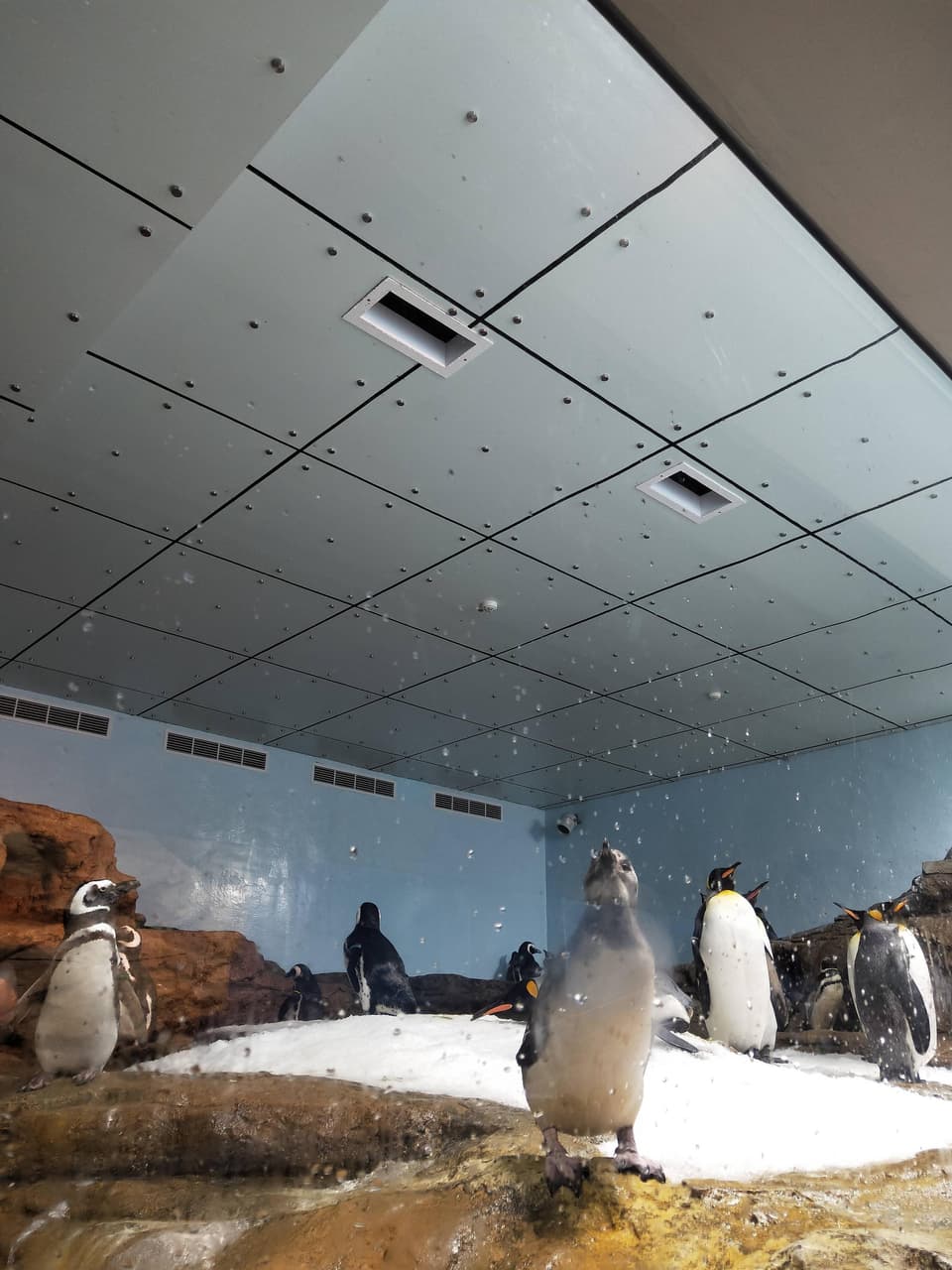 Xpark 照片分享 - 神隱少女 (@dory.fish) | Dcard