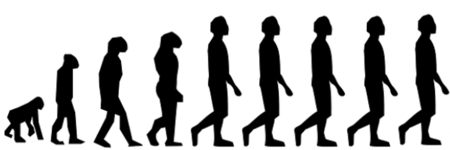 張某 (@shawngodigital) | Dcard